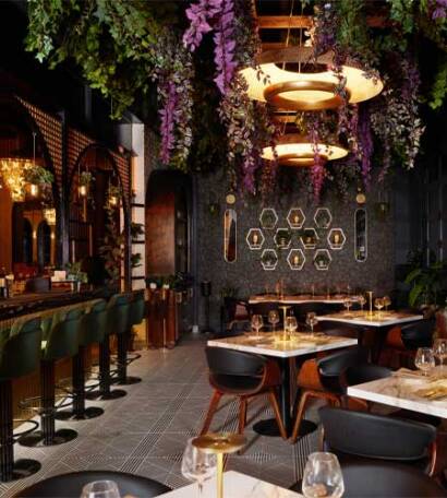 Upscale South East Asian Fusion Restaurant in Irving | InSo